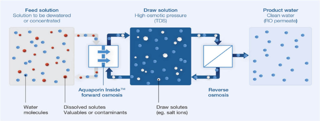 Forward Osmosis - Goldfinch